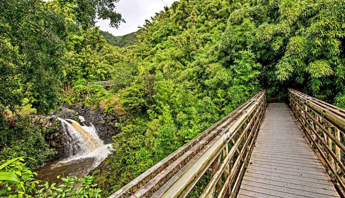 Pipiwai Trail: Maui Bamboo Forest Hike To Waimoku Falls (All You Need ...